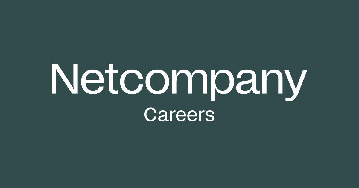 Senior Oracle Functional Consultant-Financials | Netcompany