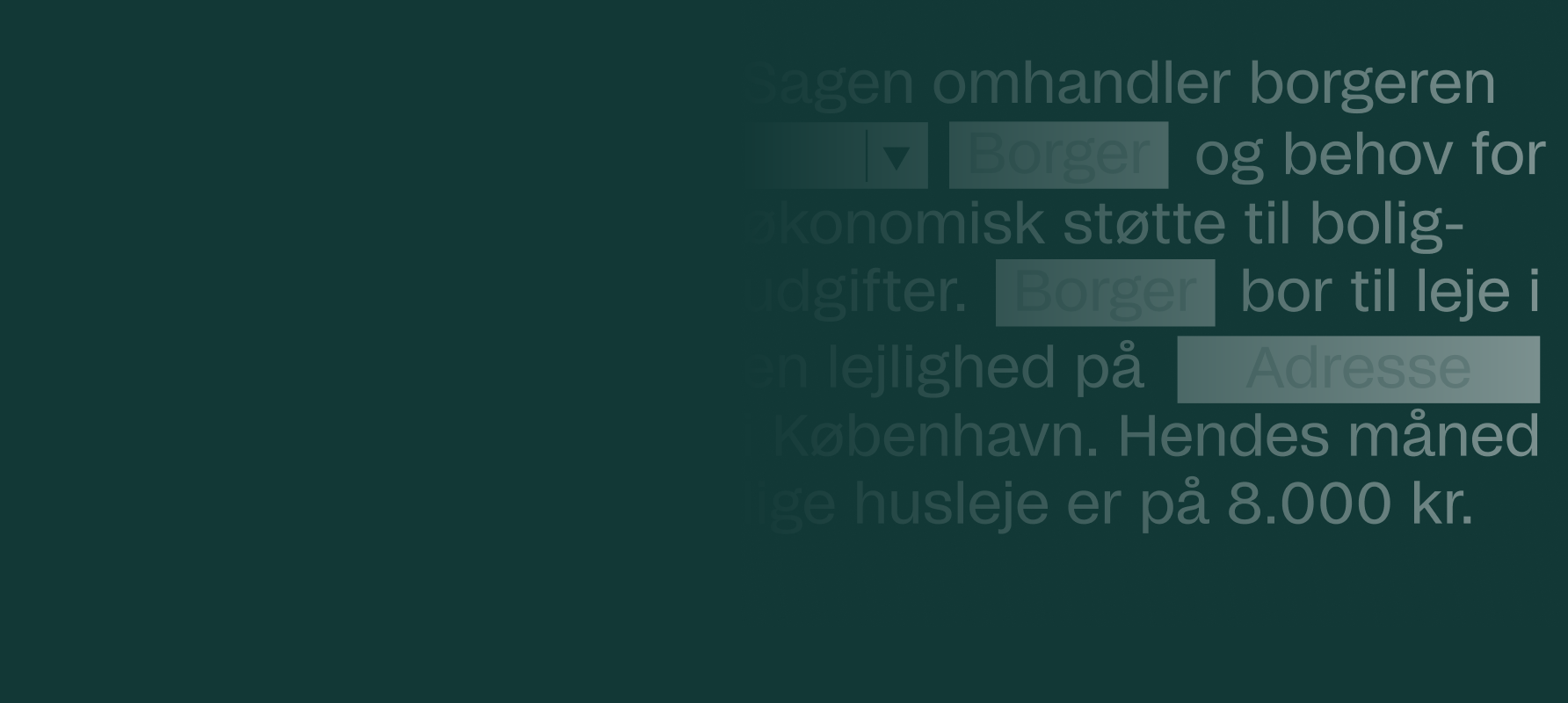AI Tool Swiftly and Accurately Anonymises Personal Information | Netcompany