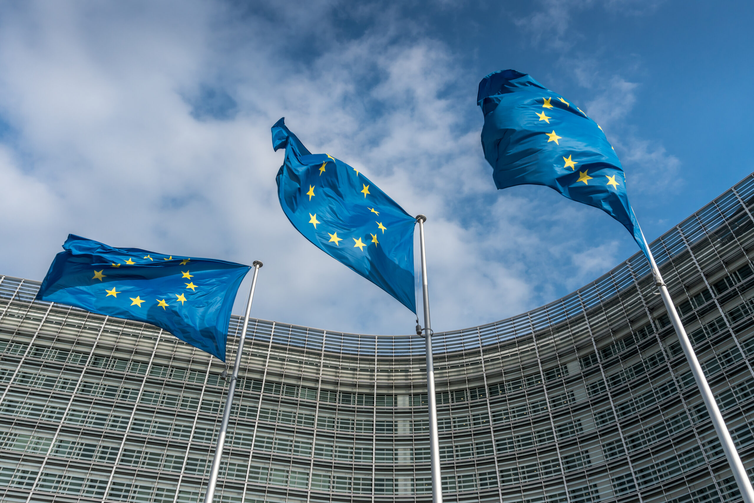 EU Institutions | Netcompany